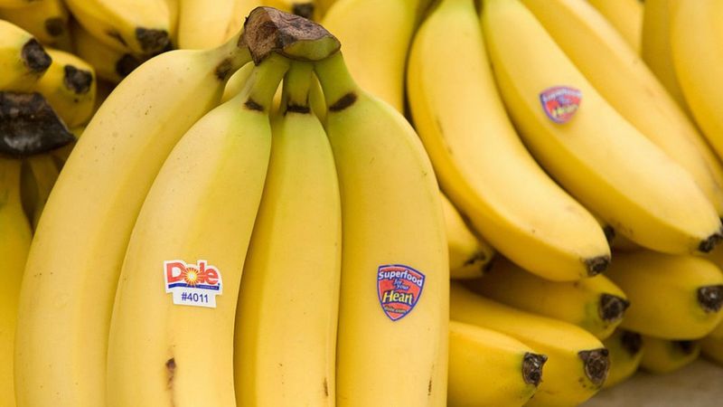 ¿Cómo se convirtió Honduras en la "república bananera" por excelencia ...