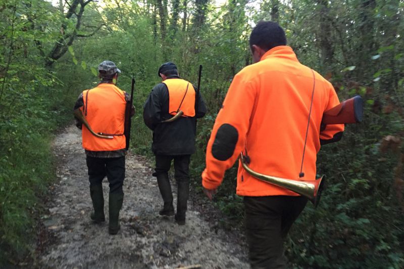 How France is falling out of love with hunting - BBC News