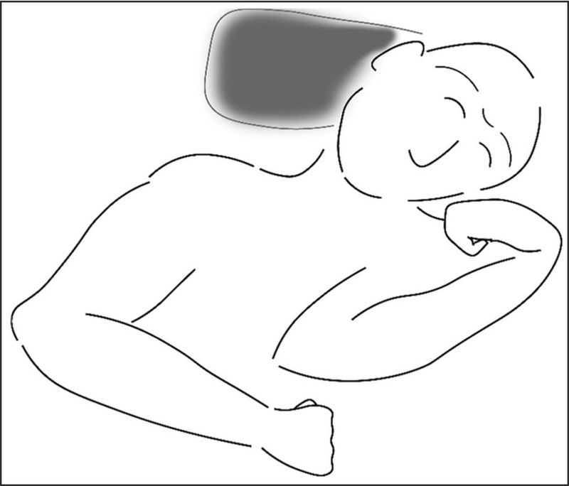 Neanderthal 'skeleton' is first found in a decade - BBC News