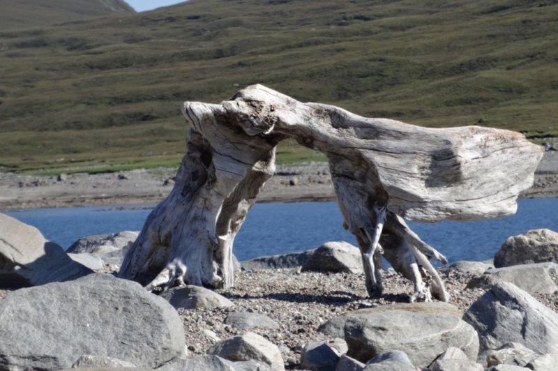 Drowned landscape revealed after levels drop at loch - BBC News