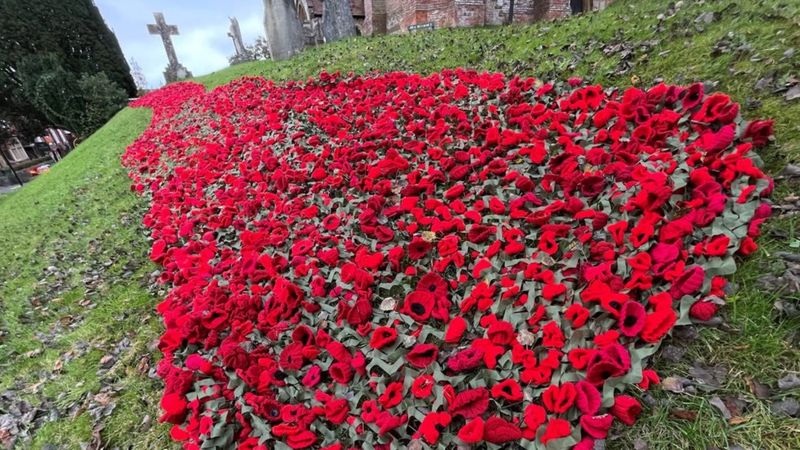 In pictures: Poppy displays across southern England - BBC News