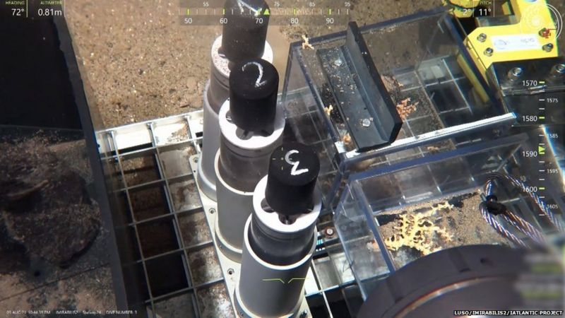 Ocean's climate change 'buffer' role under threat - BBC News