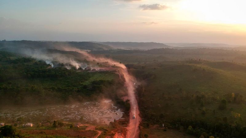 Climate change: New UK law to curb deforestation in supply chains - BBC ...