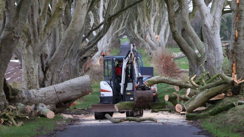 Storm Isha: Two dead and thousands left without power - BBC News