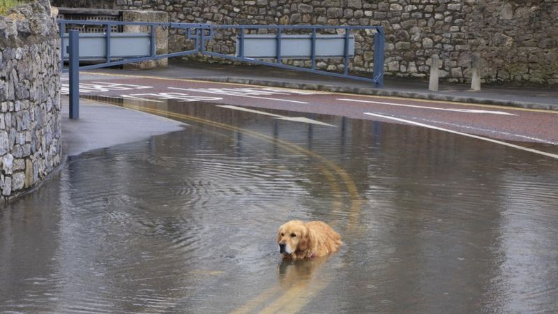 Seven days of British summer weather - BBC Weather