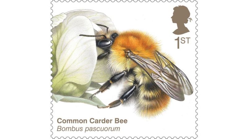 New Royal Mail stamps to celebrate UK's brilliant bugs - BBC Newsround