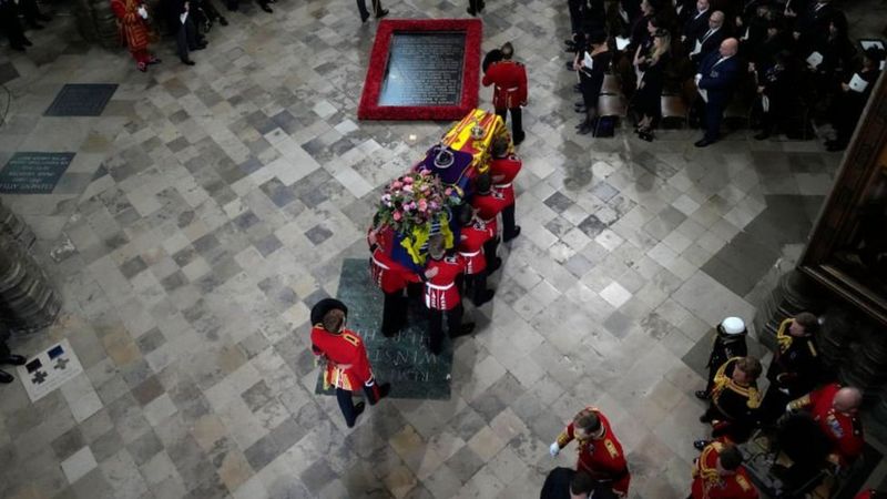 In Pictures - BBC News