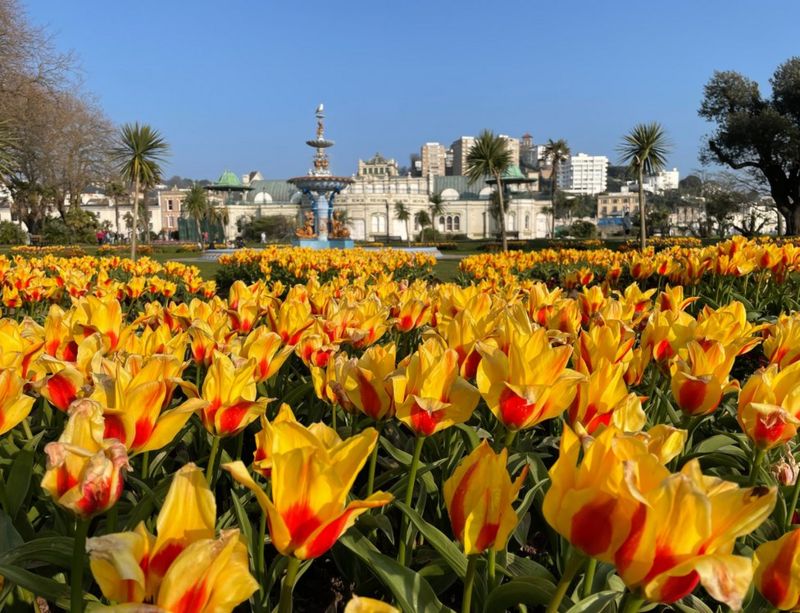 England's Big Picture: 28 March - 3 April 2022 - BBC News