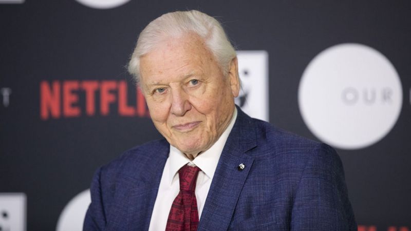 Sir David Attenborough lends voice to Netflix's Our Planet series - BBC ...