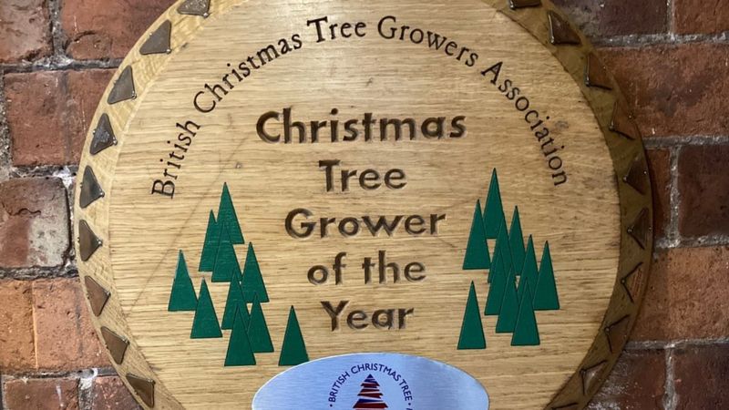 Christmas tree farm looks for 'a stunner' for No 10 - BBC News