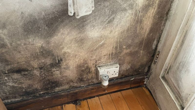 Private renters stuck in dangerous homes 'failed' by councils - BBC News