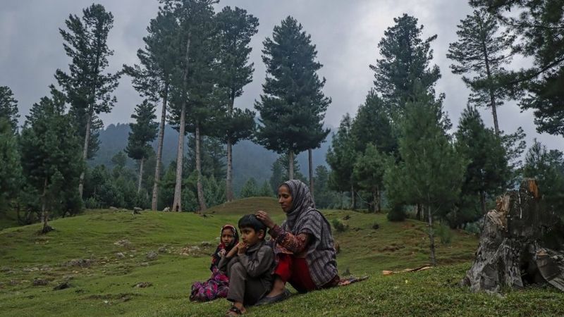 In photos: Kashmir's Bakarwal tribe faces existential crisis - BBC News