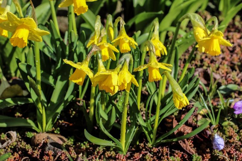 England's Big Picture: 6 - 12 March - BBC News