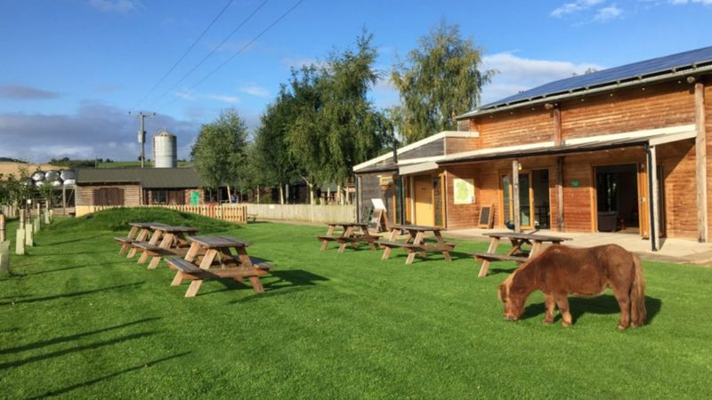 Rays Farm attraction near Bridgnorth closes after 32 years - BBC News