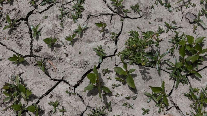 Italians wait for rain where longest river runs dry - BBC News