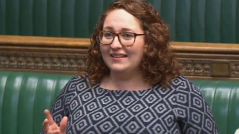 Mid-term elections 2018: Female MPs give new congresswomen advice - BBC ...