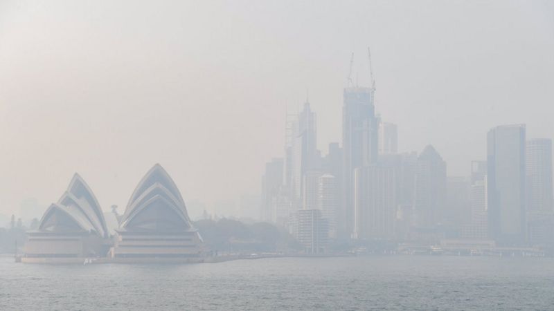How did Australia fires start and what is being done? A very simple ...