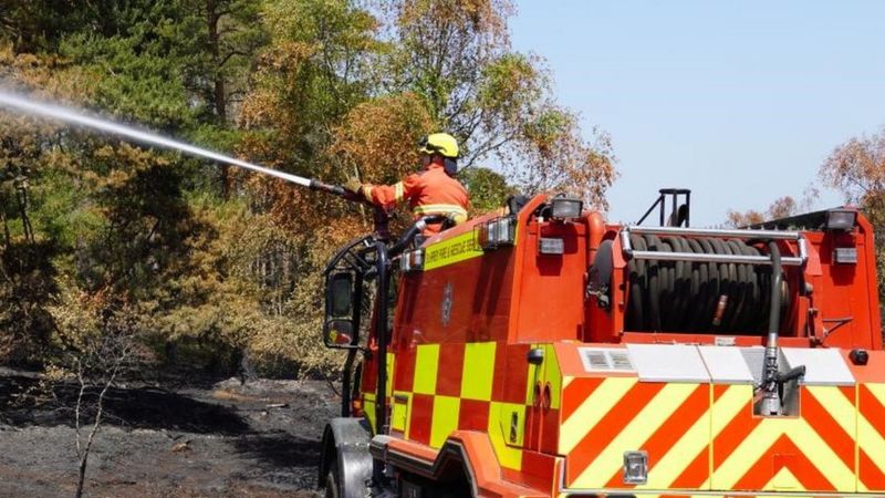 London wildfire response hit by crew shortages - report - BBC News