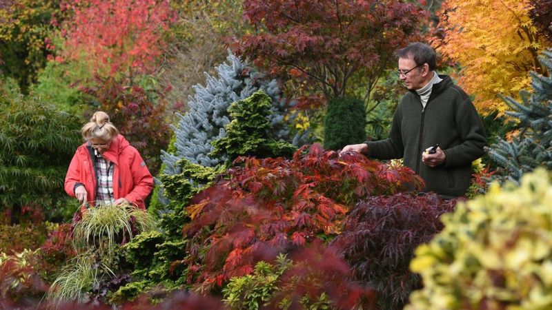 Welcome to 'Britain's best back garden' - BBC News