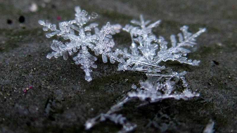Beautiful snowflakes photographed by BBC Weather Watchers - BBC Weather