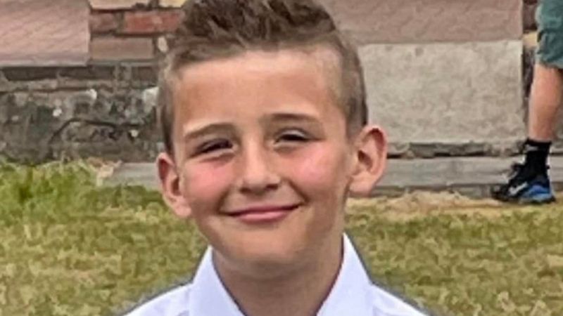 Boy, 10, dies after falling from rope swing - BBC News