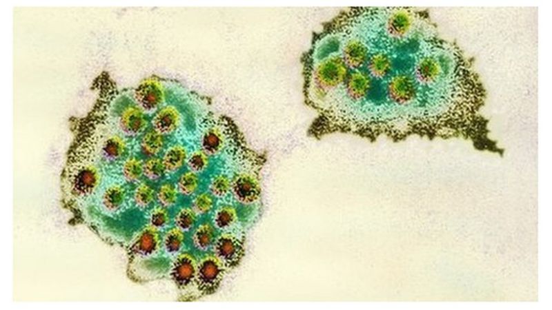 Gab: Free speech haven or alt-right safe space? - BBC News