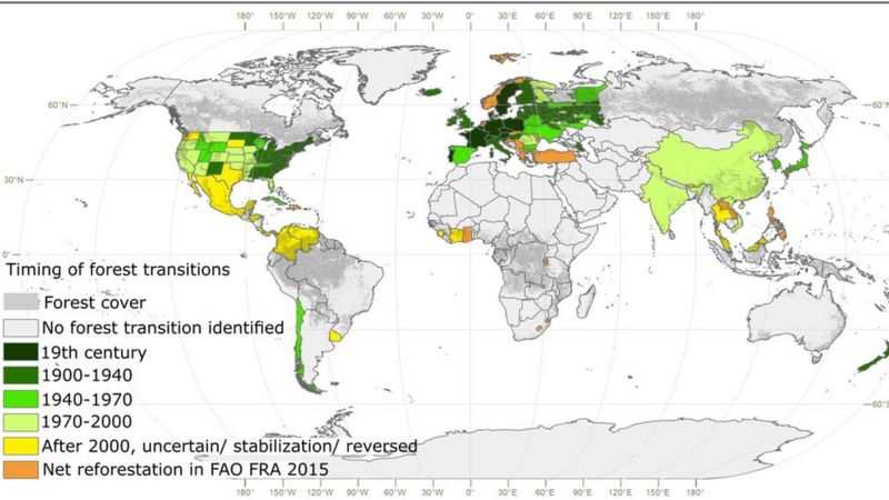 'Feel good' factor not CO2 boosts global forest expansion - BBC News
