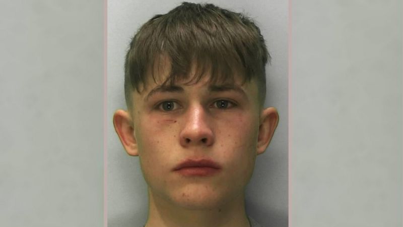 Joshua Hall murder: Harley Demmon, 16, jailed for 14 years - BBC News