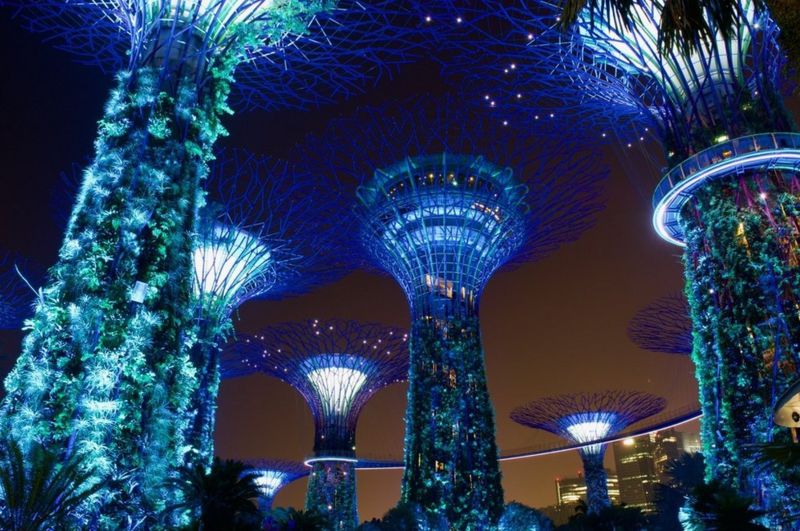 Your pictures on the theme of 'after dark' - BBC News