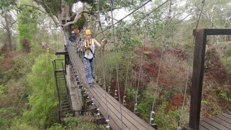 Your pictures on the theme of bridges - BBC News