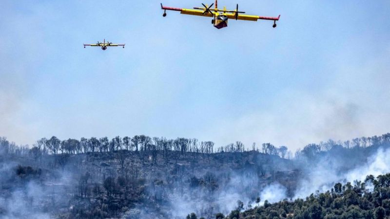 Morocco wildfires: Toxic smoke and raging blazes - BBC News