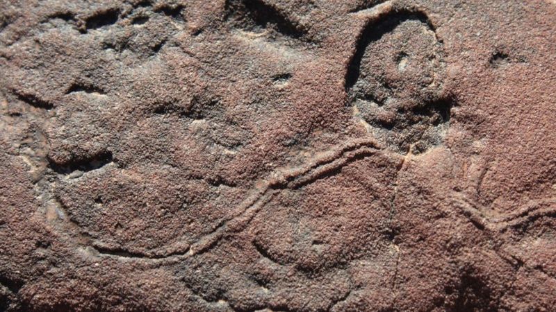 Cómo eran las extrañas primeras criaturas que habitaron la Tierra (y ...