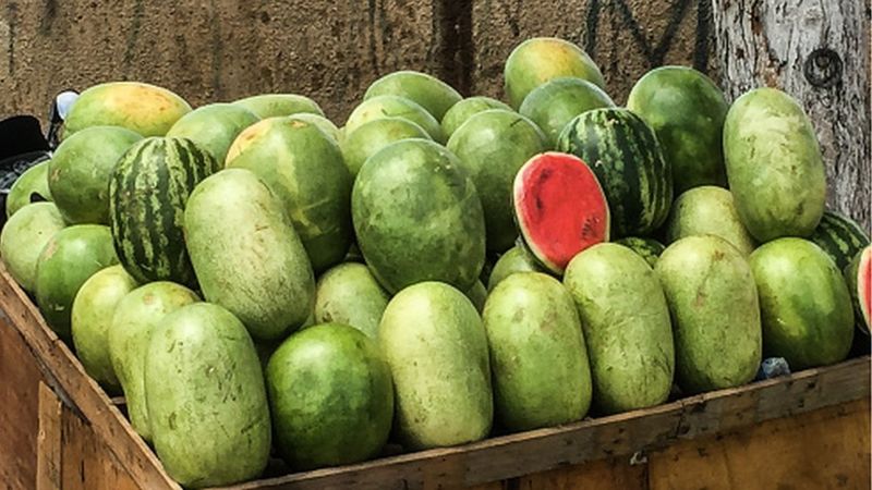 Nutrition : les bienfaits de la pastèque pour la santé - BBC News Afrique
