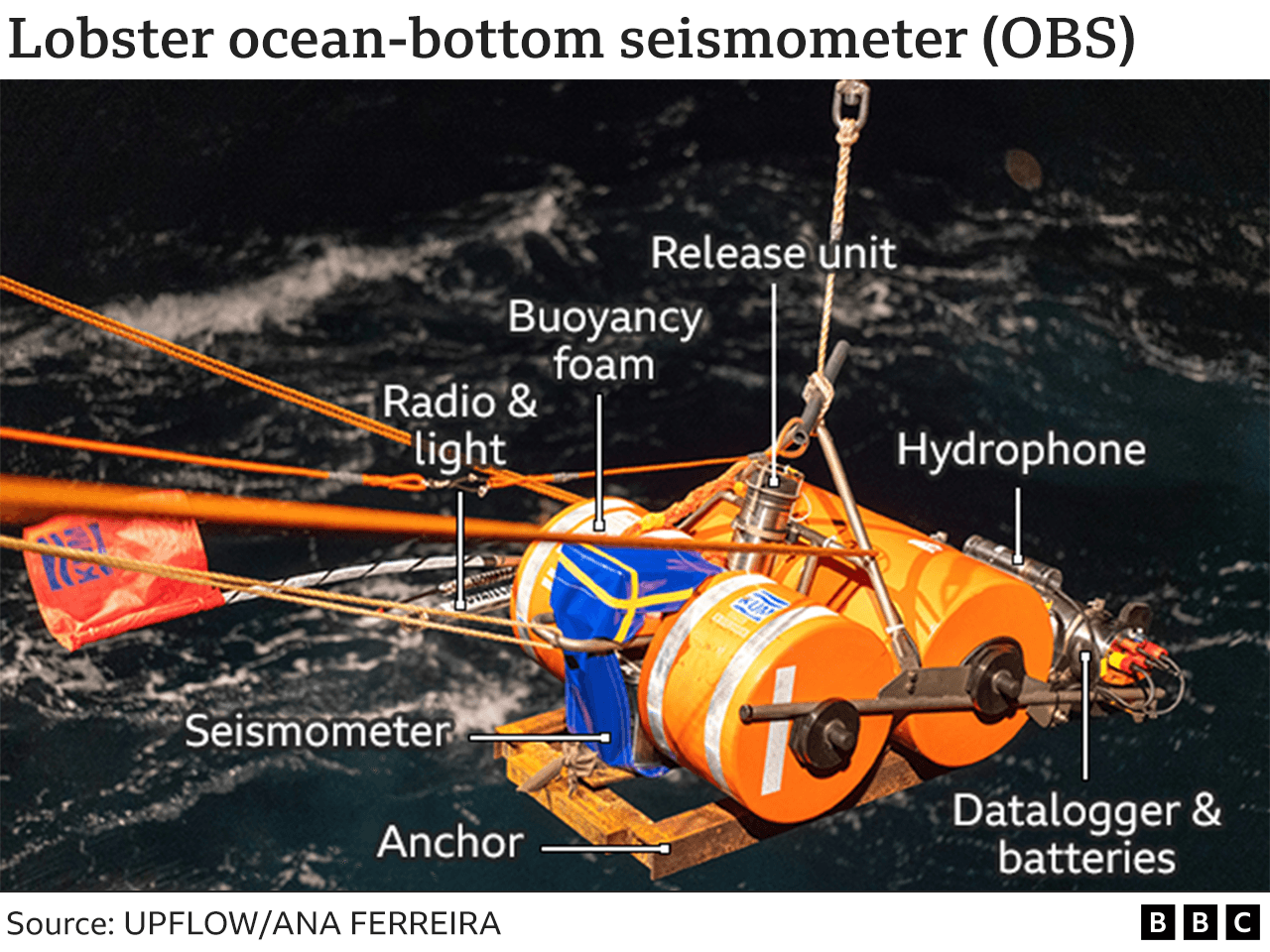 Tonga eruption: Atlantic seafloor felt Pacific volcano megablast - BBC News