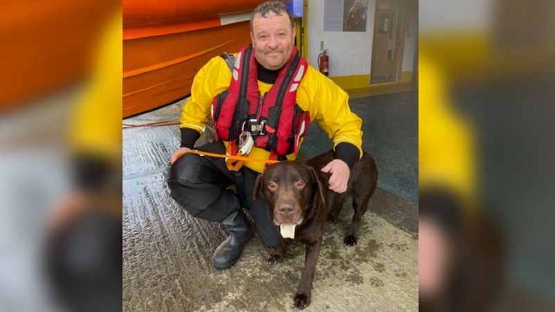 Hornsea rescue: Man and dog saved after being cut off by tide - BBC News