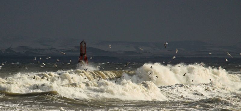 Your pictures of Scotland: 23 to 30 March - BBC News