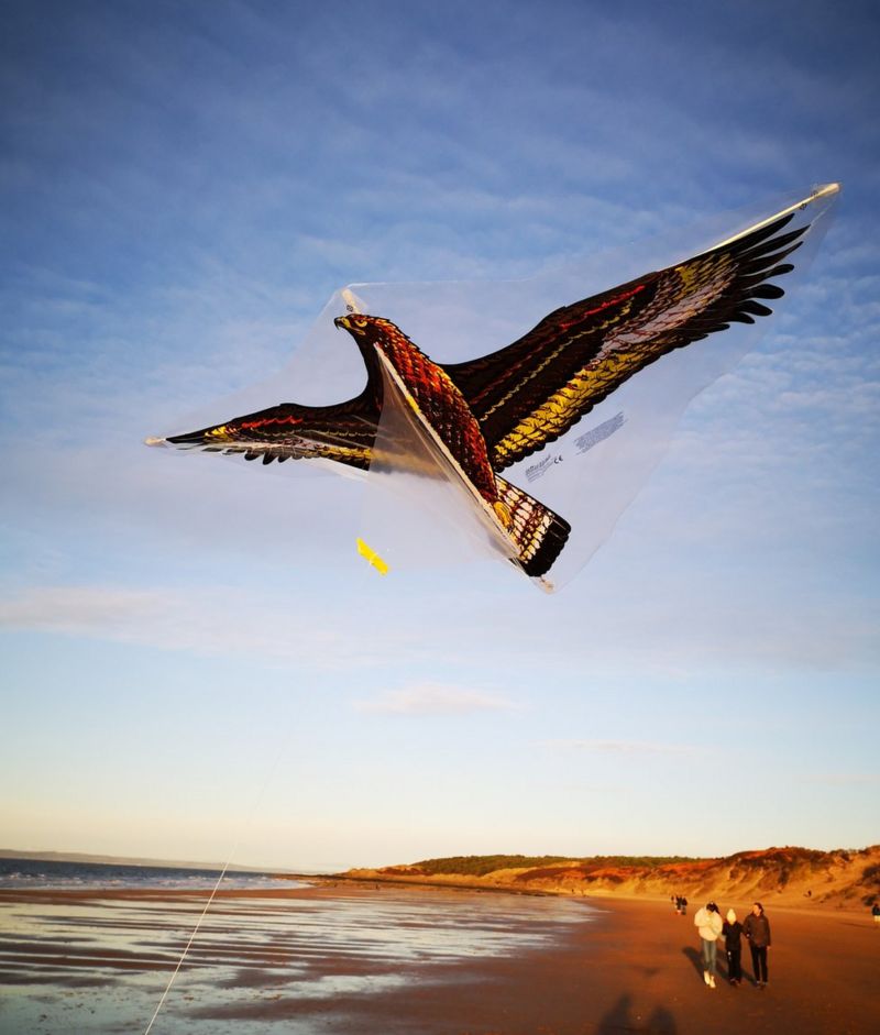 Your pictures of Scotland: 28 December - 4 January - BBC News