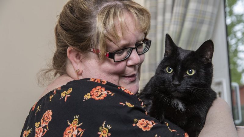 Cat of The Year Awards: Inspiring tails of the UK's finest felines ...