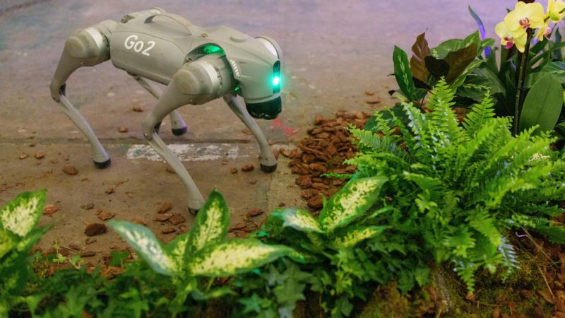 RHS Urban Show debuts in Manchester 'to inspire city gardeners' - BBC News