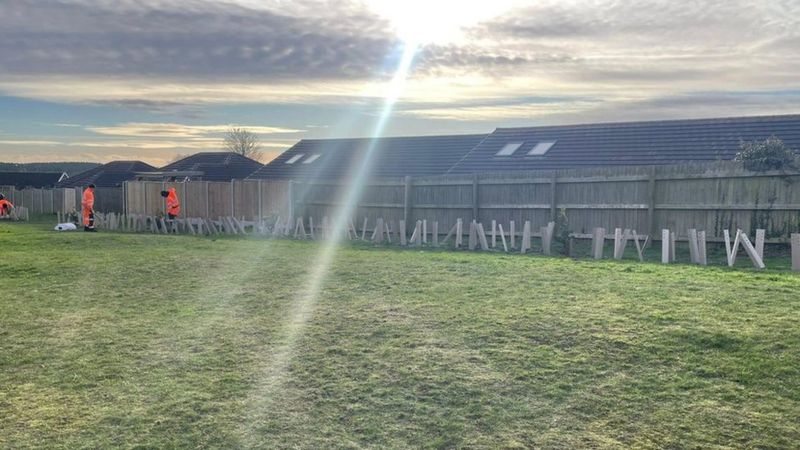 Rainworth: Project that will see 800 trees planted begins - BBC News