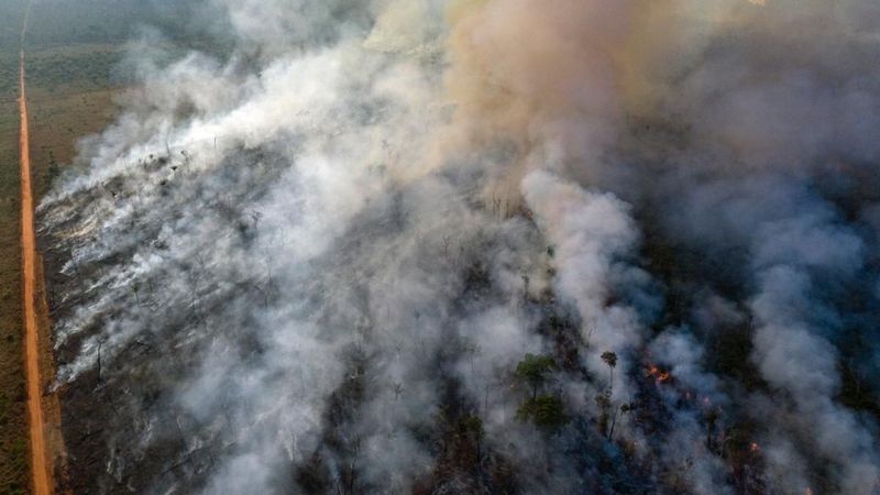 Forest fires: Are they worse than in previous years? - BBC News