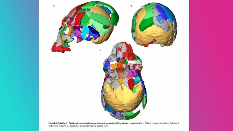 Human skull fossil could rewrite human story - BBC Newsround