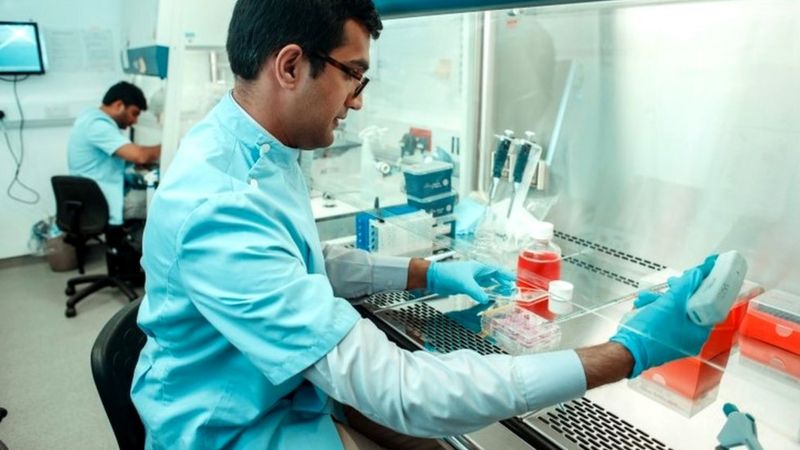Motor neurone disease: Edinburgh scientists reveal breakthrough - BBC News