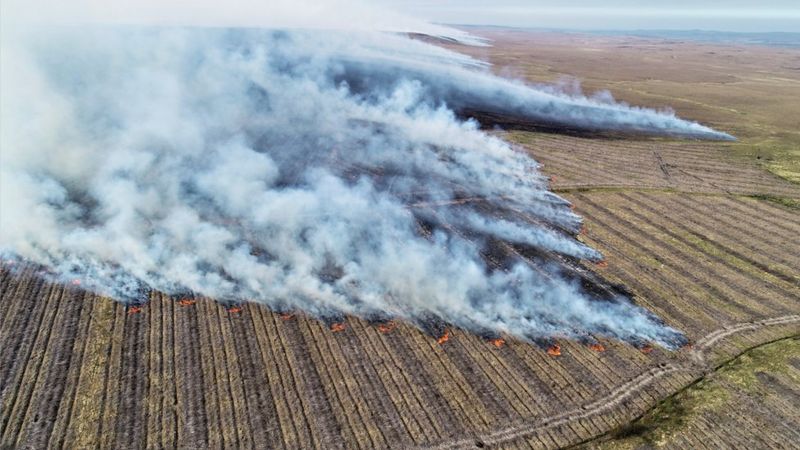 Huge Flow Country wildfire 'doubled Scotland's emissions' - BBC News