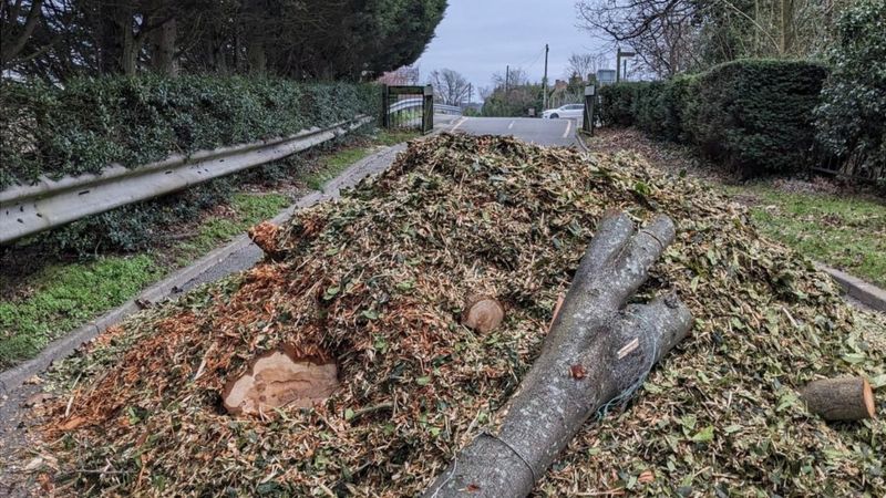 Pitsea Cemetery entrance blocked by fly-tipped green waste - BBC News