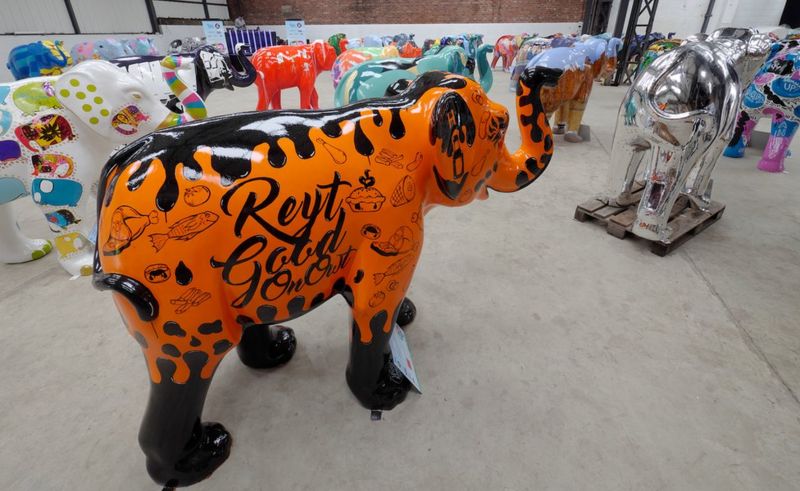 'Herd of Sheffield' elephant statues stampede into city - BBC News