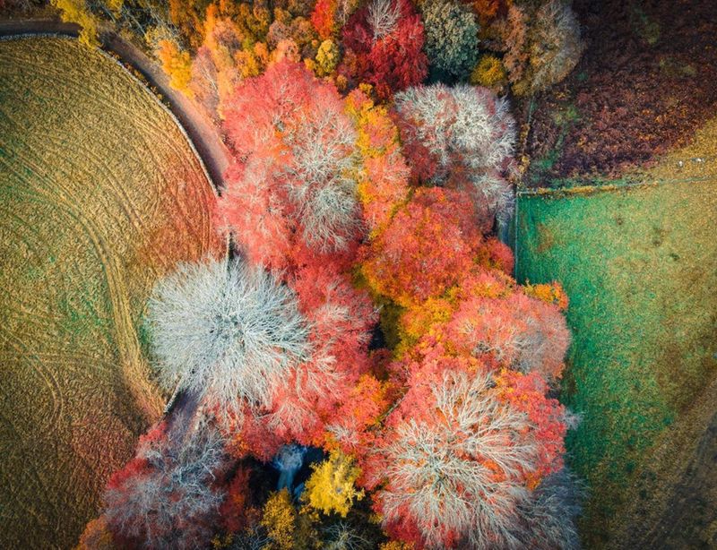 Your pictures of Scotland: 3 November - 10 November - BBC News
