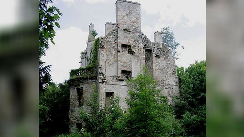 Crumbling Cavers Castle near Hawick could be restored - BBC News