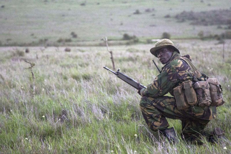The snipers trained to protect rhinos - BBC News