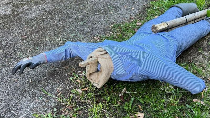 Scarecrows beheaded before Hampshire village competition - BBC News